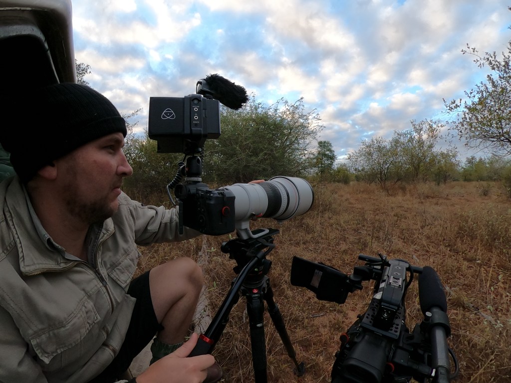 Documentary Filmmaking | Timothy Marks - Cinematic Storytelling